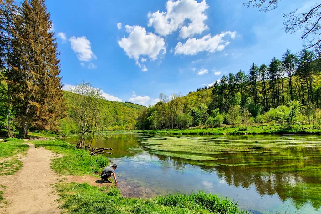 De 16 mooiste wandelingen in België: Update 2026 (met GPX) - Reisbeesten