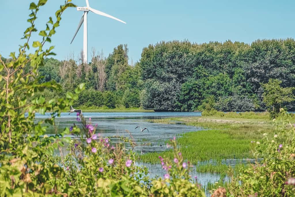 Flevoland bezienswaardigheden: mooiste natuur & wat te doen - Reisbeesten