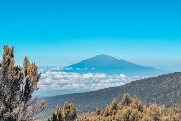 Beklimming Kilimanjaro in Afrika: onze ervaring, route & tips - Reisbeesten
