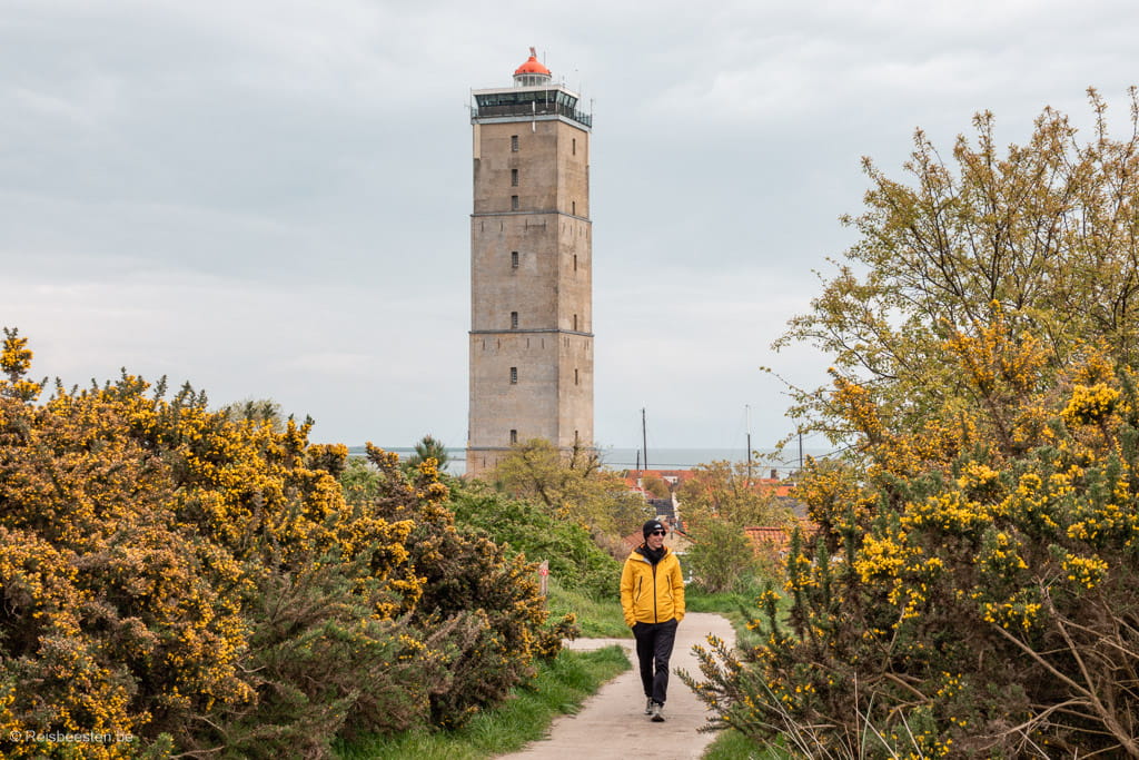 Wat te doen op Terschelling: 10 unieke activiteiten - Reisbeesten