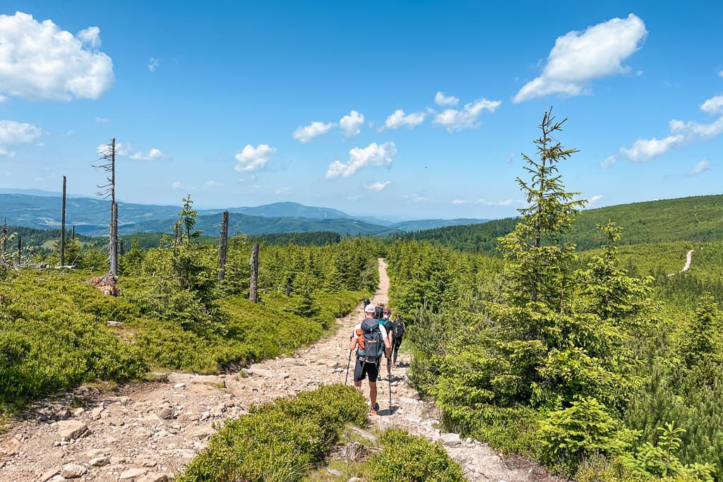 The Loop in Polen: meerdaagse wandelroute in de Beskiden - Reisbeesten