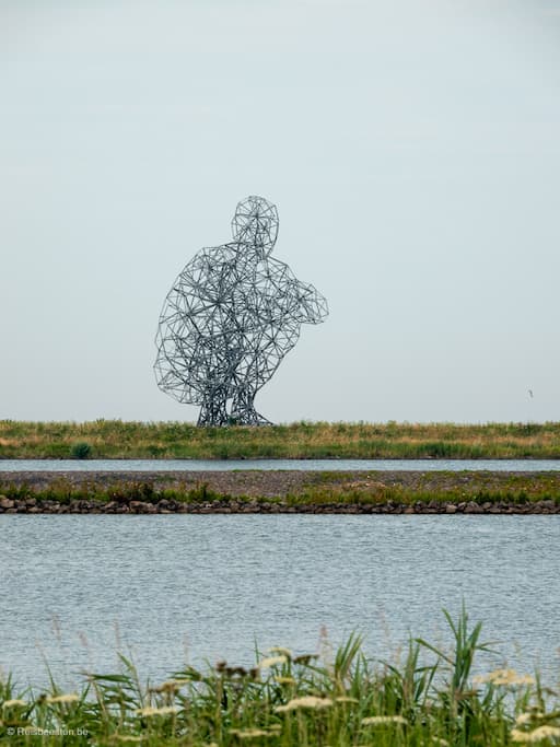 Flevoland bezienswaardigheden: mooiste natuur & wat te doen - Reisbeesten