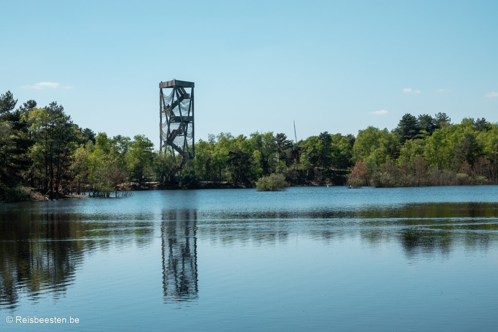 Wandelen in de Lommelse Sahara: routes + tips - Reisbeesten