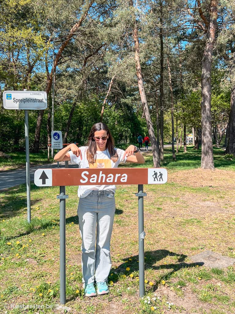 Wandelen in de Lommelse Sahara: routes + tips - Reisbeesten