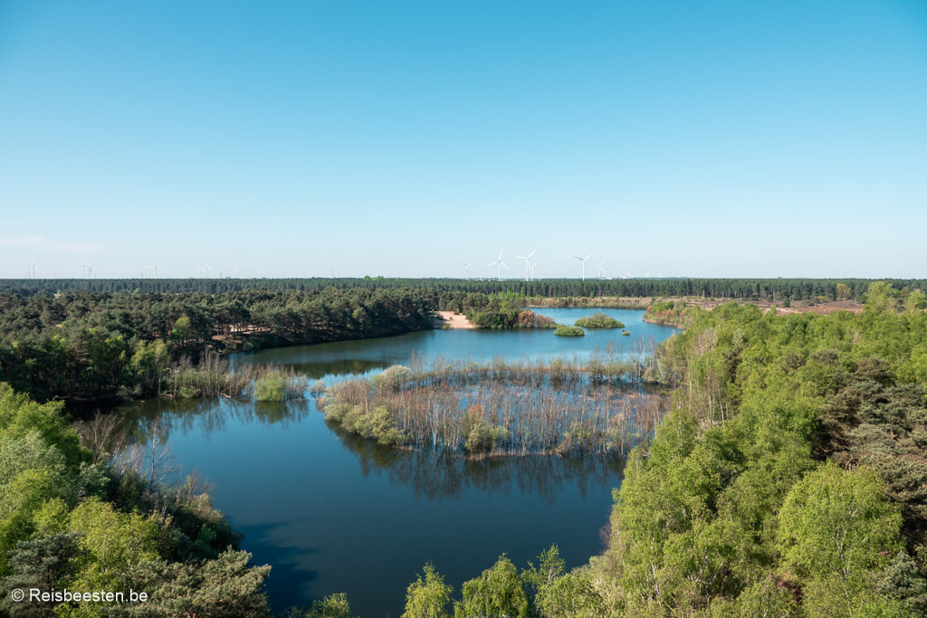Wandelen in de Lommelse Sahara: routes + tips - Reisbeesten