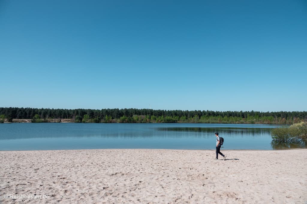 Wandelen in de Lommelse Sahara: routes + tips - Reisbeesten